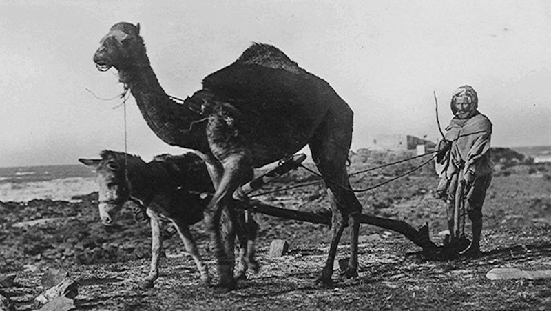 Unequally Yoked - The Pain of Marriage When Spouses are Not Spiritually ...